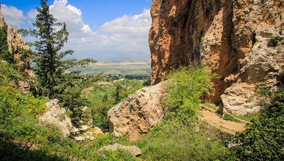 Les figues de Djebba sont parmi les meilleures au monde