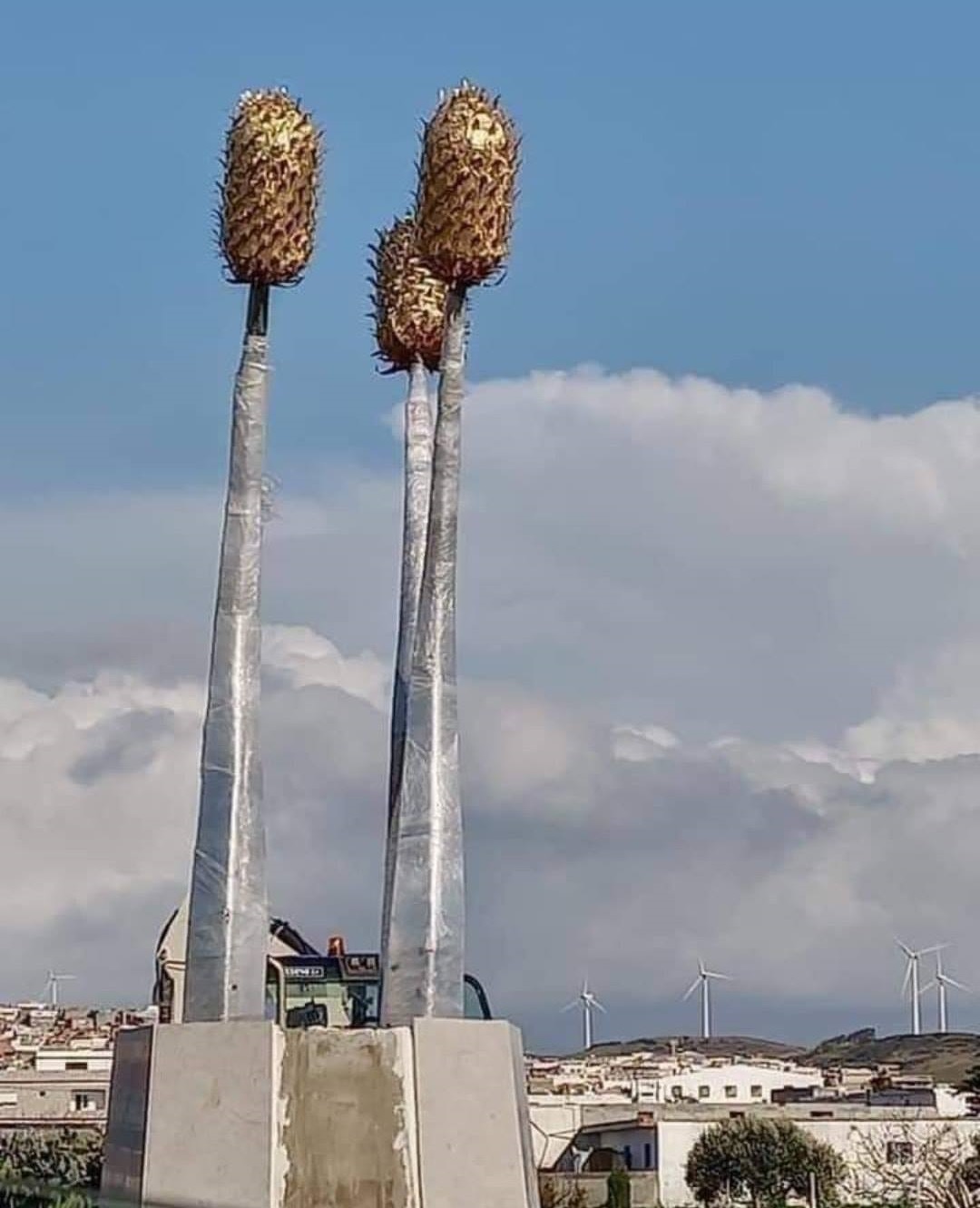 Cette étrange "décoration" a coûté 50 mille dinars à la municipalité d ...